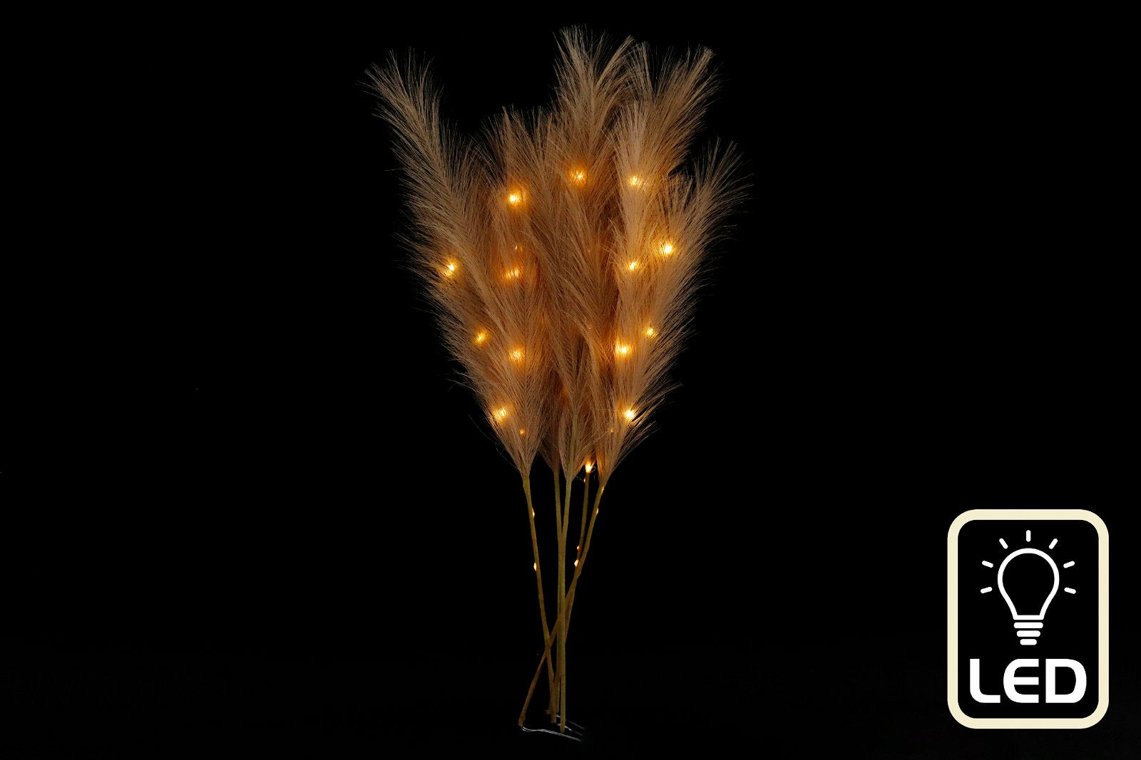 Set of Five Brown Led Pampas Grass Stems – Snug Haven Homeware